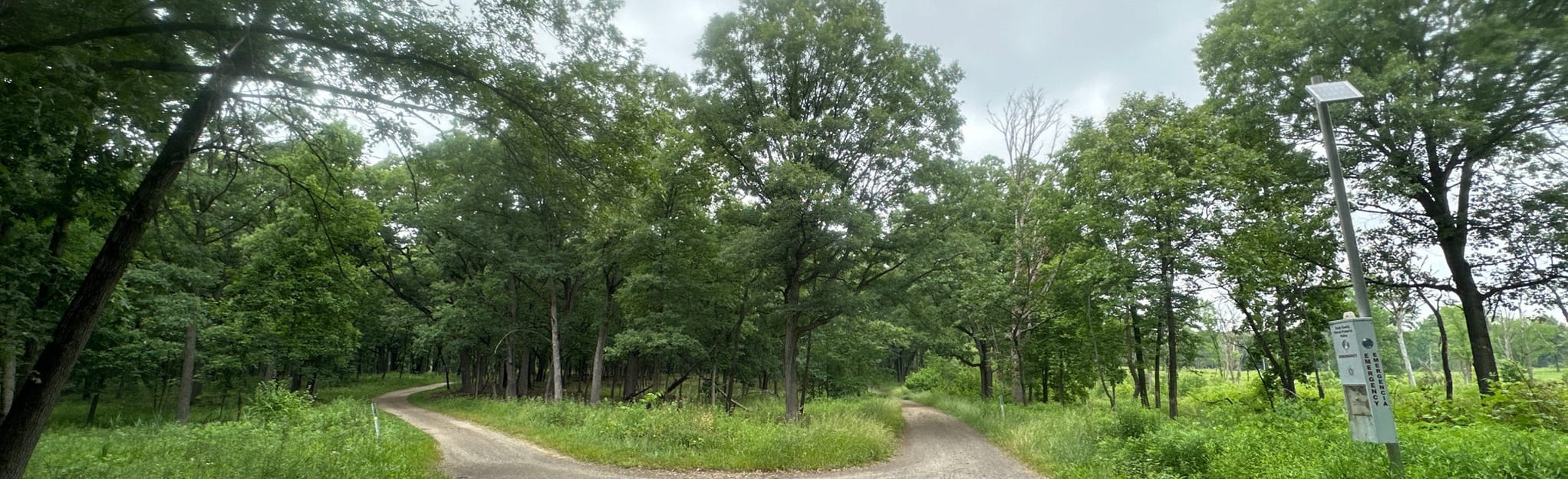 Palos Purple, Tan, Yellow Trails Loop: 203 Reviews, Map - Illinois ...