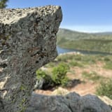 Duncan's Ridge, Colorado - 159 Reviews, Map | AllTrails