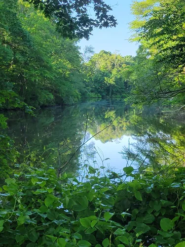 Best River Trails In Seekonk Alltrails