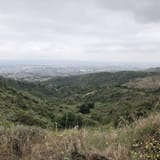 Whiting Ranch Trail, California - 1,760 Reviews, Map | AllTrails