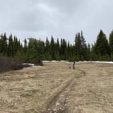 Hope Pass via Willis Gulch Trail, Colorado - 399 Reviews, Map | AllTrails