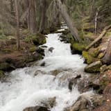 Hope Pass via Willis Gulch Trail, Colorado - 399 Reviews, Map | AllTrails
