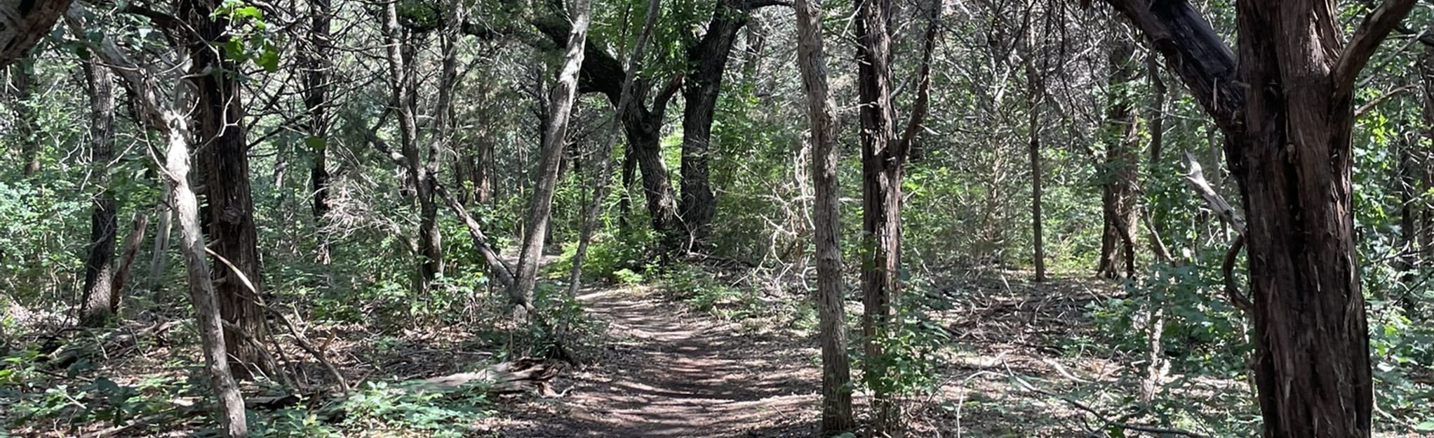 Crooked Tree Trail, Texas - 59 Reviews, Map | AllTrails
