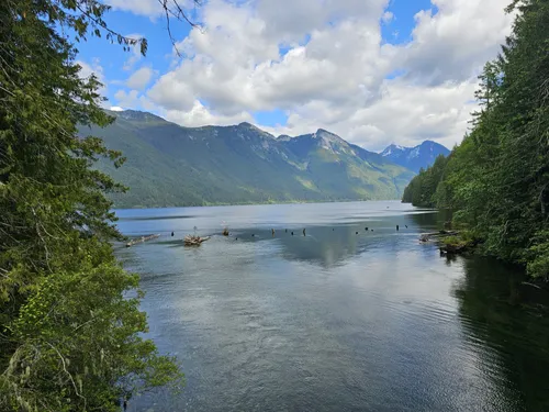 Best 10 Hiking Trails in Chilliwack Lake Provincial Park | AllTrails
