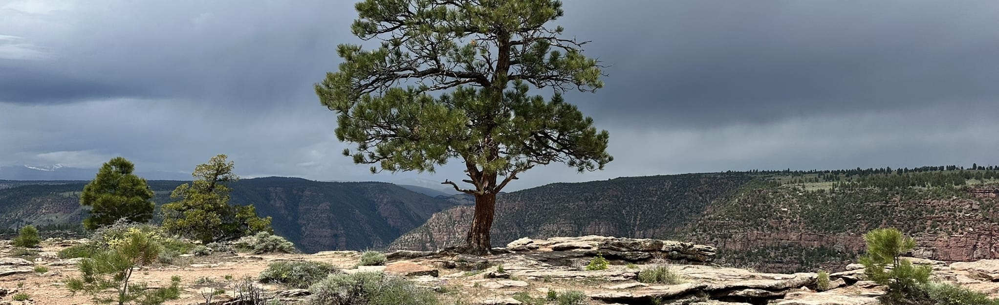 Red Canyon Overlook Trail, Utah - 52 Reviews, Map | AllTrails