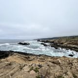 Salt Point Trail to Stump Beach, California - 635 Reviews, Map | AllTrails