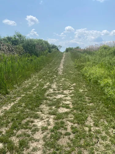Best Hikes and Trails in Hillman Marsh Conservation Area | AllTrails
