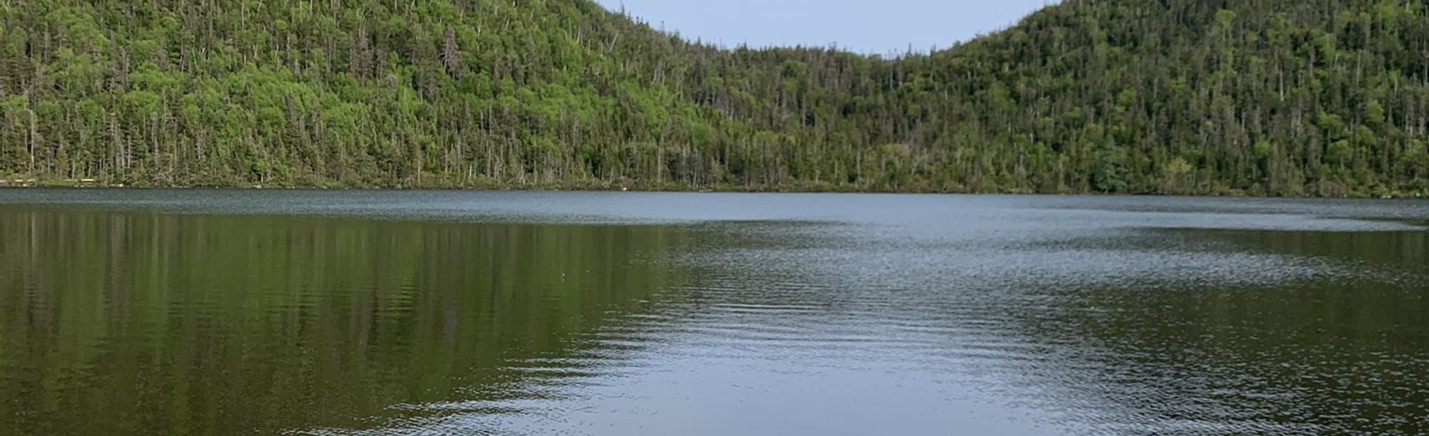 Spirity Pond Loop: 10 Reviews, Map - Newfoundland and Labrador, Canada ...