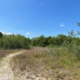 Fort Tilden Loop, New York - 310 Reviews, Map | AllTrails