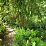 Marine View Park Loop Trail, Washington - 505 Reviews, Map | AllTrails