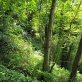 Marine View Park Loop Trail, Washington - 505 Reviews, Map | AllTrails