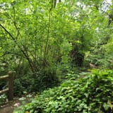 Marine View Park Loop Trail, Washington - 505 Reviews, Map | AllTrails