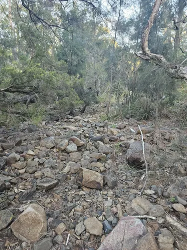 Best Hikes and Trails in Mount Morgan | AllTrails