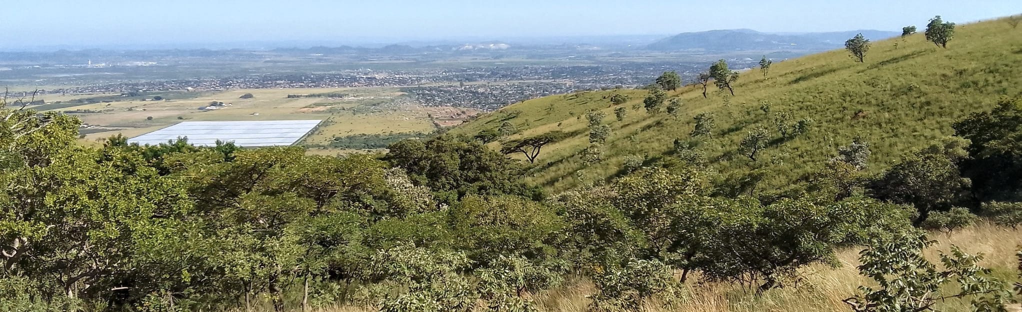 Protea Farm Loop: 2 Reviews, Map - North West, South Africa | AllTrails