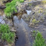 Pawcatuck River Loop, Rhode Island - 167 Reviews, Map | AllTrails
