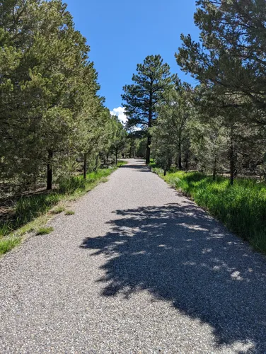 10 Best Kid Friendly Trails in Carson National Forest | AllTrails