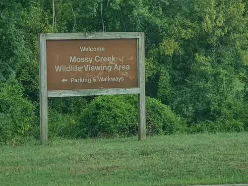Best Hikes and Trails in Mossy Creek Wildlife Viewing Area | AllTrails