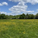 Coundon Wedge Circular, West Midlands, England - 235 Reviews, Map ...
