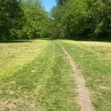 Coundon Wedge Circular, West Midlands, England - 235 Reviews, Map ...