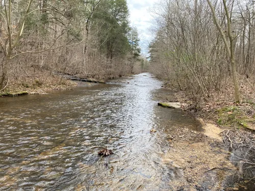 Best Hikes and Trails in Meriwether Lewis National Monument | AllTrails