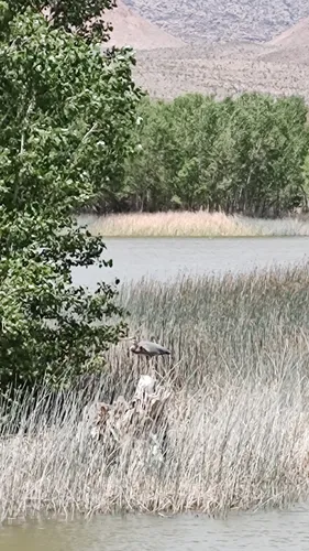 2023 Best Views Trails in Alamo | AllTrails