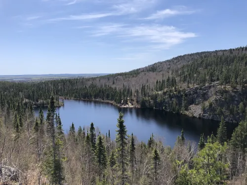 2023 Best Wild Flowers Trails in Taschereau | AllTrails