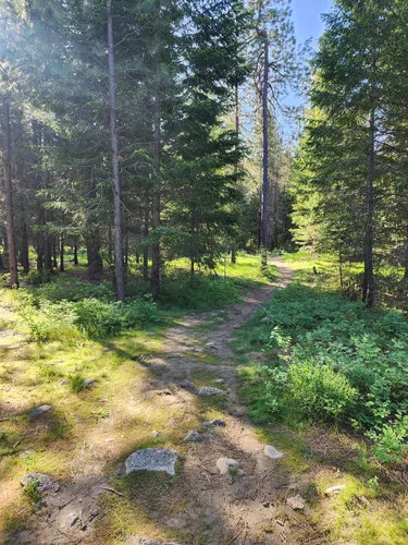 Best Hikes and Trails in Haynes Estate Conservation Area | AllTrails