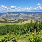Tom McCall Point Trail [CLOSED], Oregon - 1,474 Reviews, Map | AllTrails