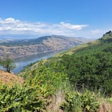 Tom McCall Point Trail [CLOSED], Oregon - 1,474 Reviews, Map | AllTrails
