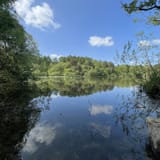 Yearsley Wood Circular Woodland Trail, North Yorkshire, England - 178 ...