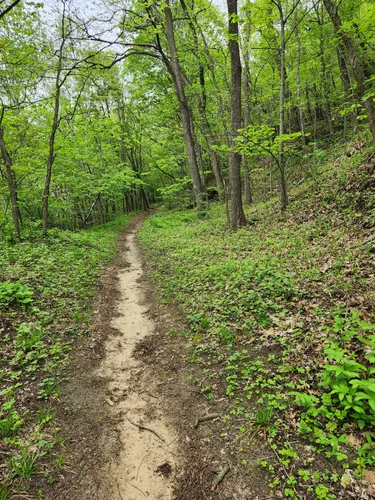 Best Hikes and Trails in Red Wing | AllTrails