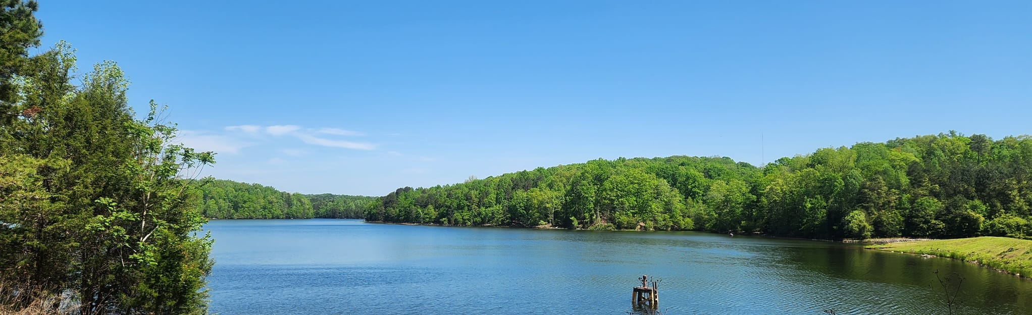 Foster Mill Loop Trail, South Carolina - 380 Reviews, Map | AllTrails