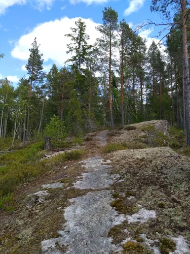 Best Trails near Tornberget | AllTrails