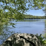 Boston Lot Lake, New Hampshire - 676 Reviews, Map | AllTrails