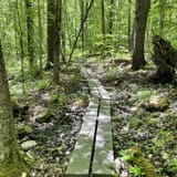 Boston Lot Lake, New Hampshire - 676 Reviews, Map | AllTrails