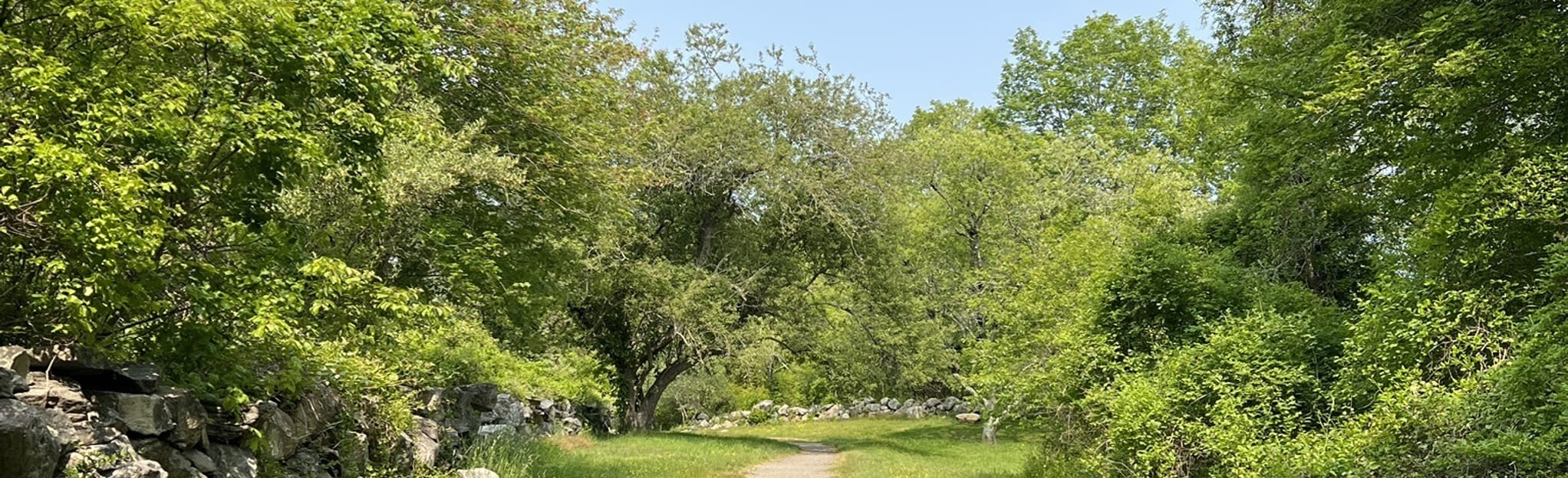 Groton X-Town Trail, Connecticut - 55 Reviews, Map | AllTrails