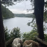 Eel Lake Trail, Oregon - 361 Reviews, Map | AllTrails