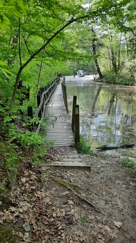 Best Hikes and Trails in Newaygo State Park | AllTrails