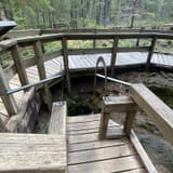 Trail of Two Forests Trail , Washington - 301 Reviews, Map | AllTrails