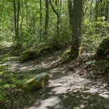 Jakes Rock Overlook, Pennsylvania - 186 Reviews, Map | AllTrails