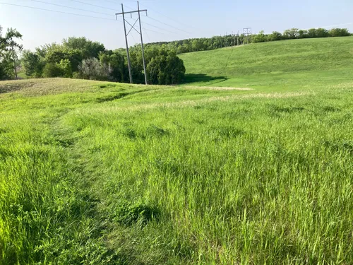 Best Hikes and Trails in Prairie Wetlands Learning Center | AllTrails