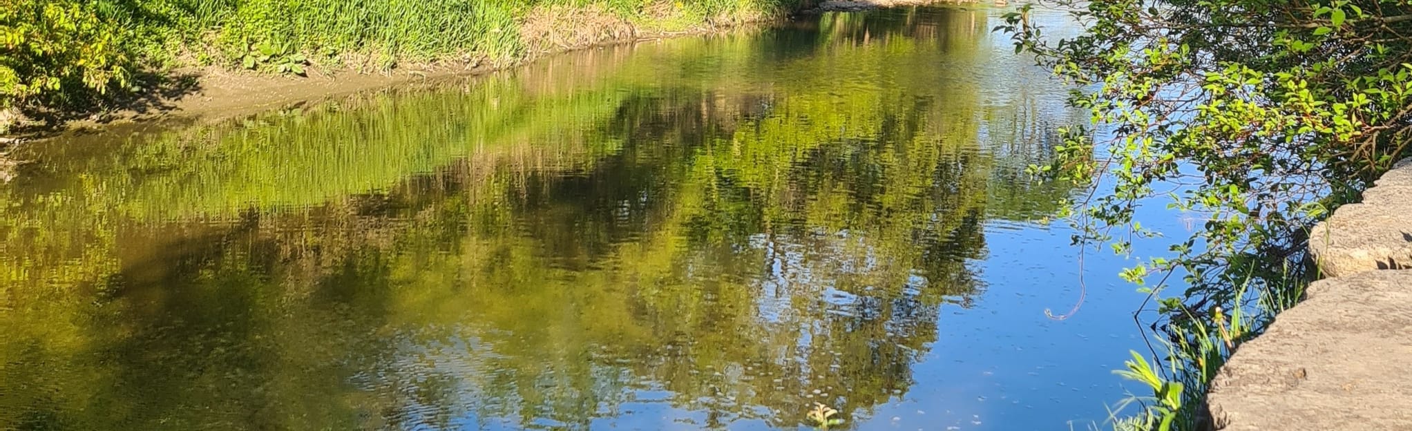 Highland Creek Ravine to Waterfront: 197 Reviews, Map - Ontario, Canada ...