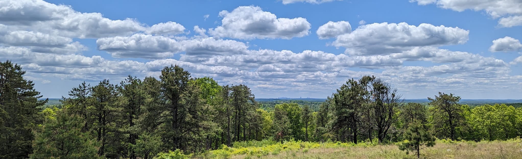 Vetter Trail and Ward Trail Loop, Massachusetts - 526 Reviews, Map ...