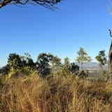 Mt Louisa Walking Track, Queensland, Australia - 231 Reviews, Map ...