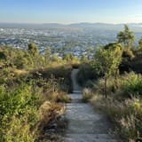 Mt Louisa Walking Track, Queensland, Australia - 231 Reviews, Map ...