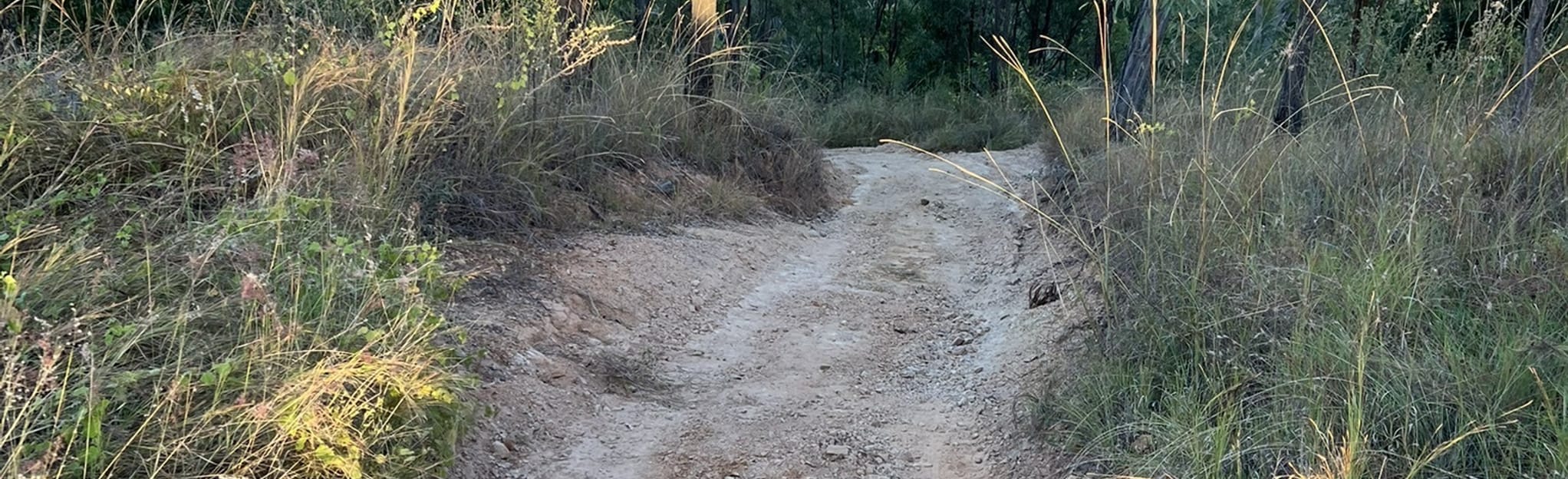 Mount Louisa Crest Track: 16 Reviews, Map - Queensland, Australia ...