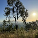 Mt Louisa Walking Track, Queensland, Australia - 231 Reviews, Map ...