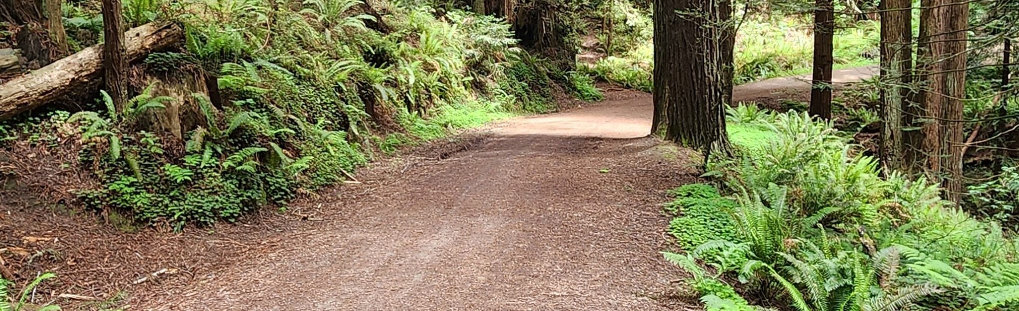 Nature Trail, Fickle Hill Grade, and Meadow Trail Loop: 350 Reviews ...