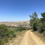 Ohlone Wilderness Trail - Del Valle, California - 499 Reviews, Map ...