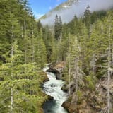 Mildred Lakes Trail, Washington - 200 Reviews, Map | AllTrails